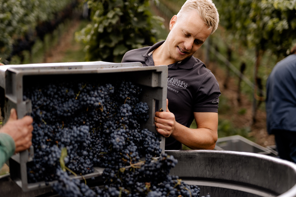 Unsere Qualitätspyramide | Schwarzwaldweingut Andreas Männle